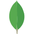 mongodb development