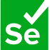 selenium development